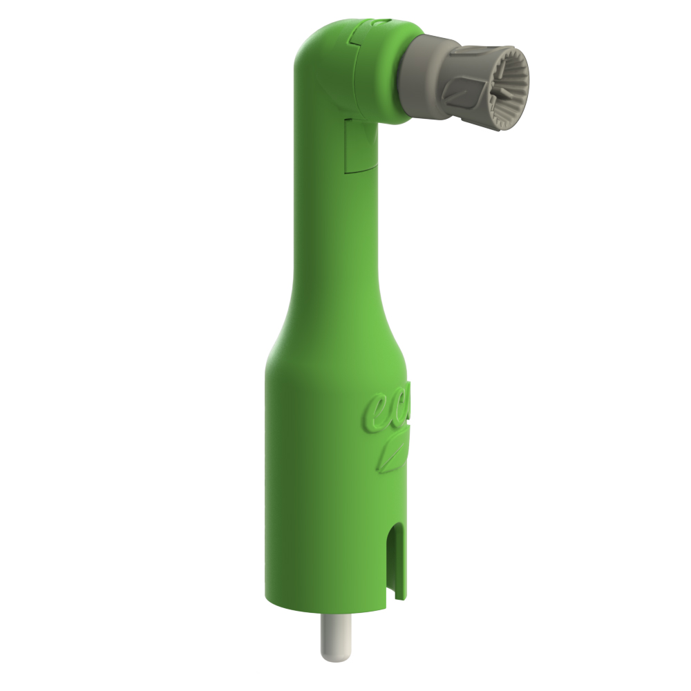 Ocean Pals® Dolphin Kids Toothbrush (144 ct) - Young Specialties