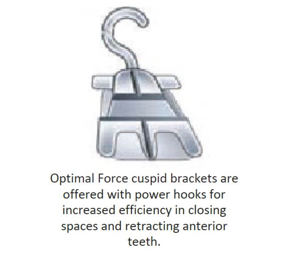 (Case) .022 Optimal Force Stainless Steel Bracket - Young Specialties